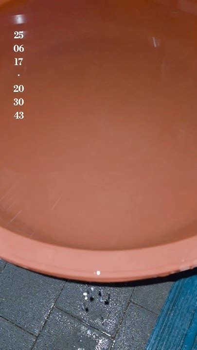 20250617203043식품용드럼통1통 200리터 양많고 많다 물 다 비우고 청소후 다른곳으로 이동 물의 양이 너무적어 2통 나오기 힘듦맑고맑은깨끗한물맑은물 빗물활용법