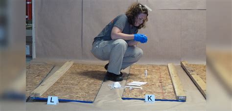 Qanda With Aspca Forensic Analyst Amanda Fitch Aspca