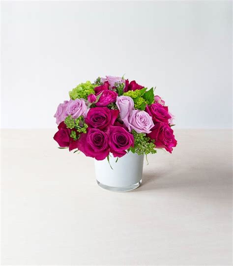 Purple Passion Medium Red Square Flowers