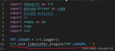 Pytorch转tensorrt相关代码及其报错解决方法 Tensorrt Error Tactic Device Request 1441mb Av Csdn博客