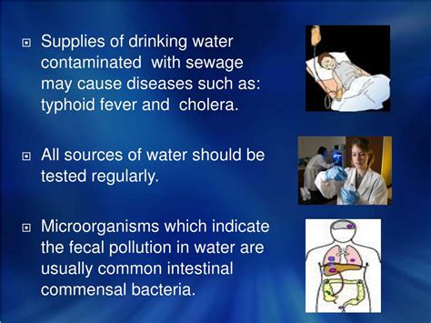 Ppt Bacteriological Examination Of Water Milk And Air Powerpoint Presentation Id 2263992