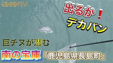 フカセ釣り巨チヌの聖地 鹿児島県 出水郡 長島町 YouTube