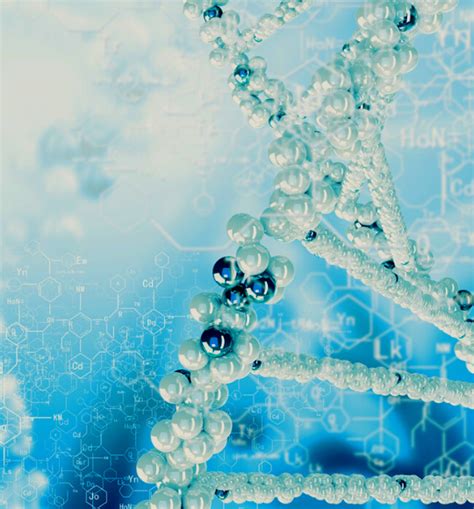 What Is Ectd The Story Of The Electronic Common Technical Document