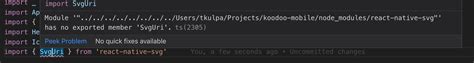 React Native Svg Index Has No Exported Member SvgUri Issue Software Mansion React