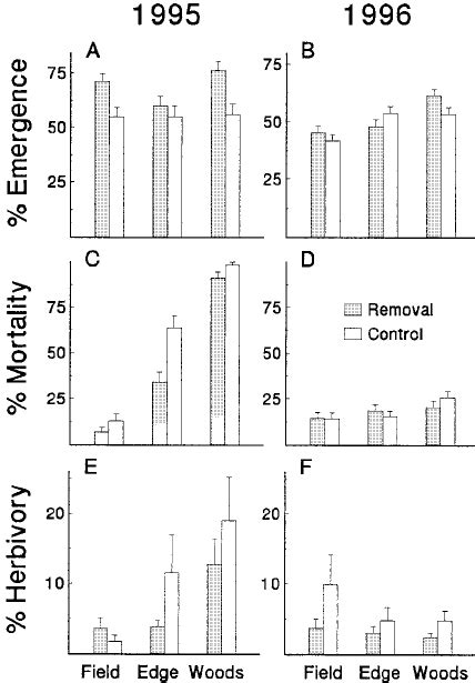 Effects Of Insect Herbivory And Spatial Position On The Emergence A Download Scientific