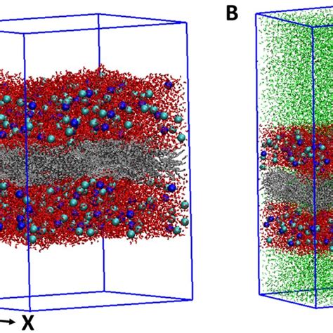 Simulation Snapshots Illustrating Iid Cucl2 A And Iid Cucl2 Co2 B