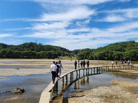 영주 무섬마을 마을 전체가 문화재외나무다리 건너면 400년 역사 ‘생생 경상북도 문화 마을이야기 박람회