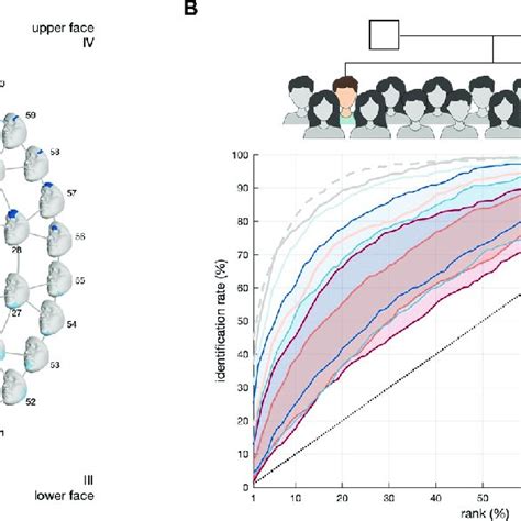 Global To Local Matching Of Siblings A Global To Local Segmentation