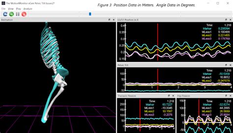 Early Insights Into Markerless Motion Capture