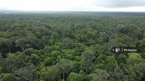 អន្ទាក់សត្វកើនឡើងជាង៥០ភាគរយ នៅក្នុងព្រៃសង្ឃសហគមន៍រុក្ខាវ័ន នាឆ្នាំ២០២២