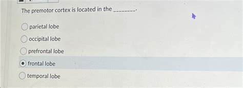 Solved The Premotor Cortex Is Located In The Q Parietal