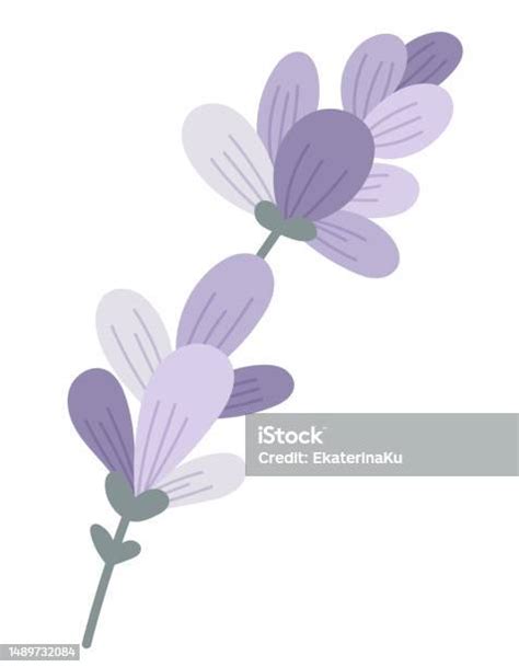 꽃잎과 잎이 플랫 스타일로 된 라벤더의 벡터 향기로운 격리 장식 0명에 대한 스톡 벡터 아트 및 기타 이미지 0명