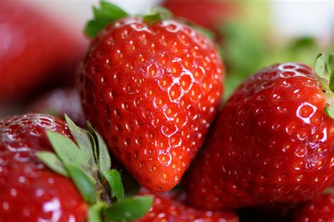 Cuánto tarda en crecer las fresas Huerto en casa