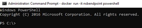 Containerizing Nservicebus Endpoints With Docker Part 3 Dockerize
