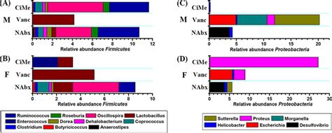 Sex Differences In Antibiotic Effects On The Microbial Composition At Download Scientific
