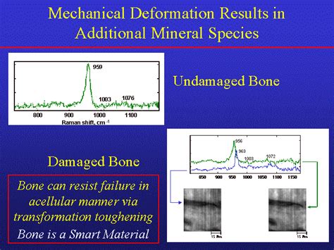 Structure Function Relations