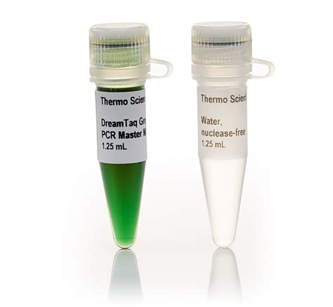 Thermo Scientific™ Dreamtaq Green Pcr Master Mix 2x Fisher Scientific