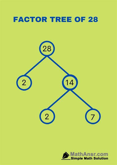 Factors Of 28