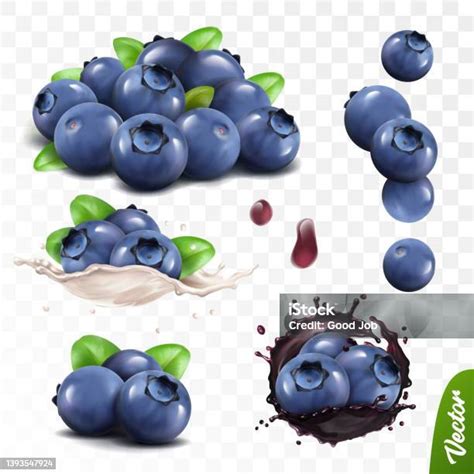 3d 현실적인 블루 베리 세트 나뭇잎이있는 열매 더미 떨어지는 빌베리 우유 또는 요구르트의 튀김 열매가있는 주스 튀김 블루베리에 대한 스톡 벡터 아트 및 기타 이미지