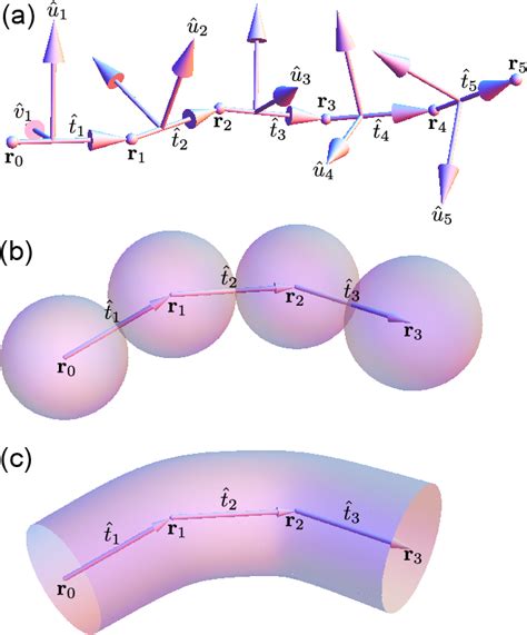 Figure 1 From Self Avoiding Wormlike Chain Model For Double Stranded Dna Loop Formation