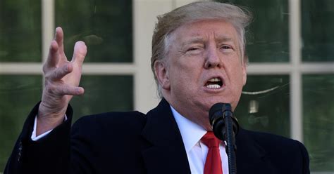 Quinnipiac Poll Americans Trust Democrats Over Trump On Border