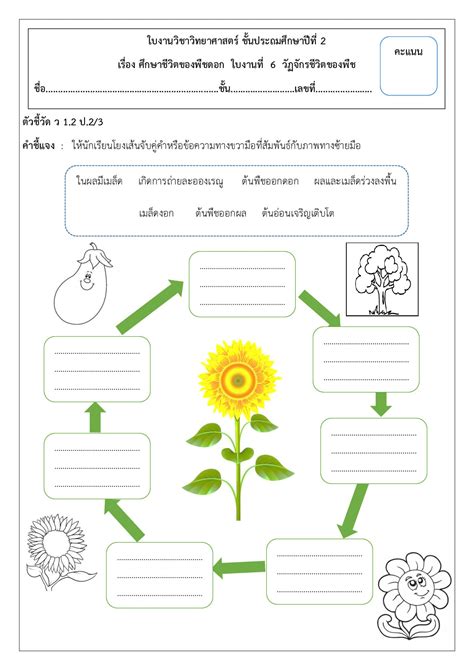 Mp9164 สื่อใบงานวิทยาศาสตร์ Krusupansa Facebook