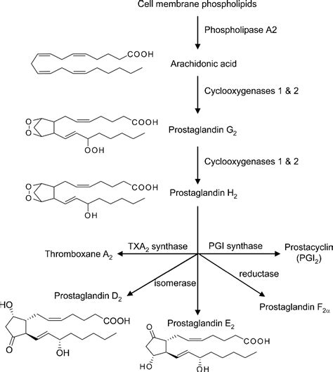 Figure From An Improved LC MS MS Method For The Quantification Of Prostaglandins E And D