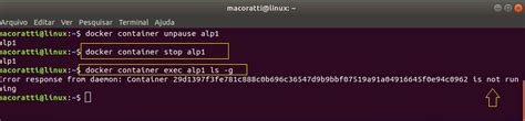Docker Executando Comandos Em Um Contêiner Em Execução