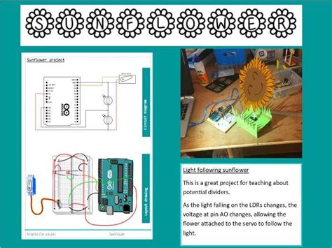 Arduino Sunflower Using Light Dependent Resistors Teaching Resources