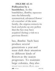 PDFGallery 20230531 003408 Pdf Course Hero