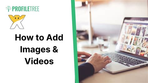 Adding Images And Videos To Your Wix Website How To Build A Wix