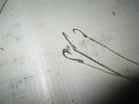 Fishing Rod For Eel In The Rice Field Stock Image Image Of Hand Urek