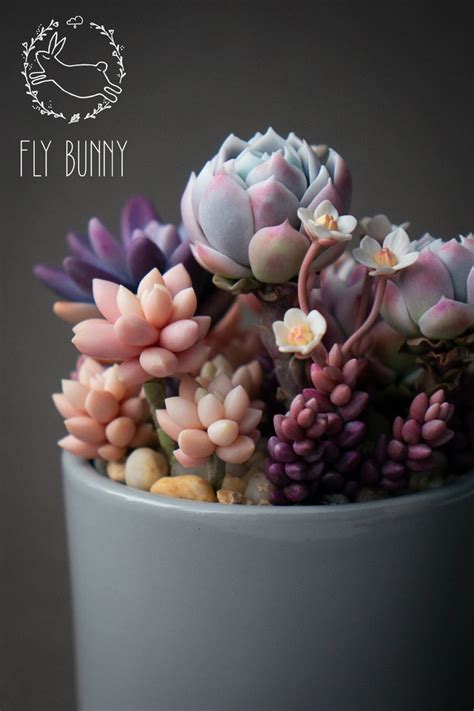 Jewelry Box In The Form Of A Succulent Arrangement Succulent