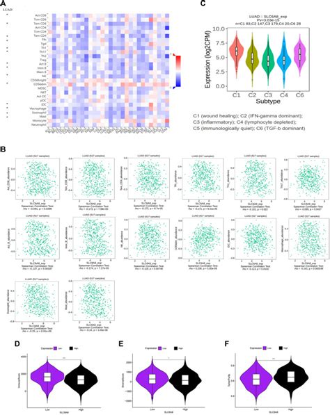 Slc6a8 Is A Potential Biomarker For Poor Prognosis In Lung Adenocarcinoma Pmc
