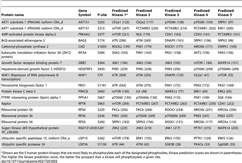 Kinase Substrate Predictions Download Table