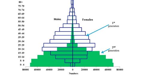 Ageposition Of The First And Second Generation Registered