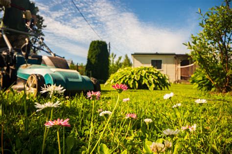 현대 정원이나 뒤뜰의 푸른 잔디에 잔디 발동기 잔디밭을 자르는 기계 원예 관리 도구 및 장비 잔디 다듬기 과정 0명에 대한 스톡 사진 및 기타 이미지 Istock