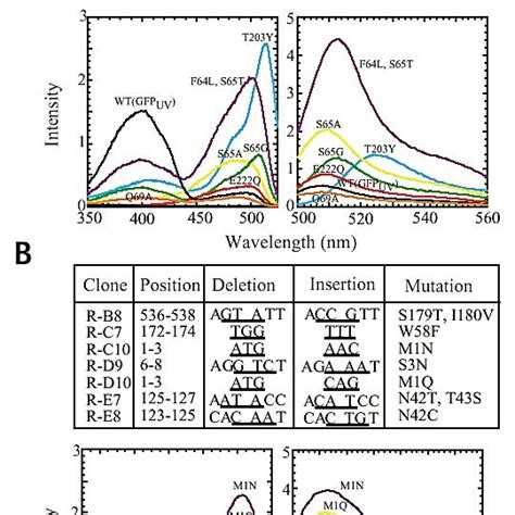 a general scheme of the random insertion deletion rid mutagenesis for