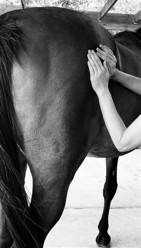 Accueil Marion Colly