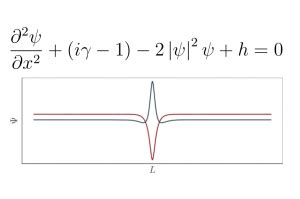 dat UBFC Nonlinear Schrödinger Equation NLSE Dataset