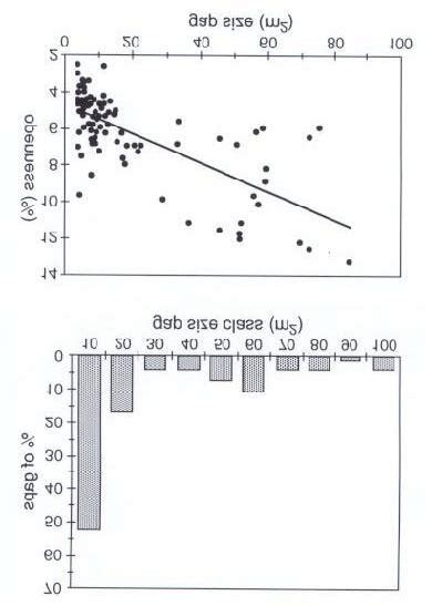 A Frequency Distribution Of Sizes Of Canopy Gaps That Occurred
