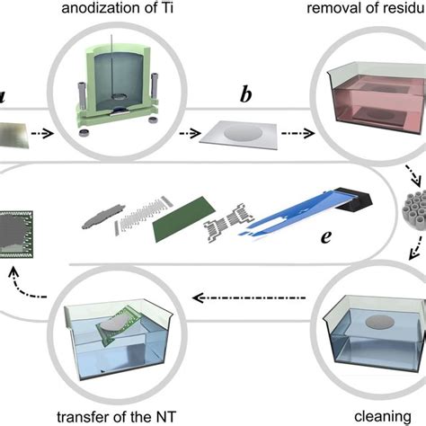 The Scheme Of Fabrication The Multisensor Chip Based On Tio X Nt Array