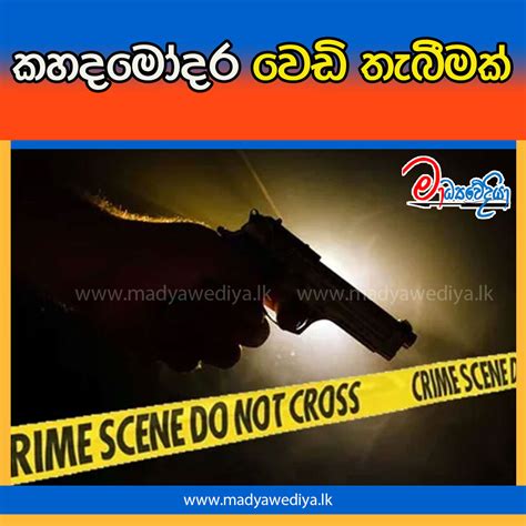 කහදමෝදර වෙඩි තැබීමක් මාධ්‍යවේදියා