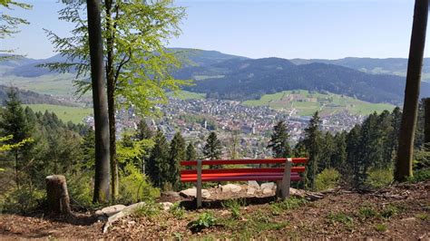 The Black Forest Trail Black Forest Tours