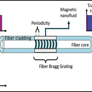 Schematic Of The FBG Mechanism Download Scientific Diagram