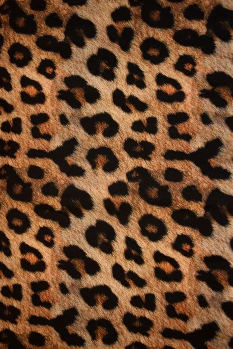 Leopard Print Turtle Neck Puddle Train Gown With Puffed Etsy Leopard Print Turtle Neck Puddle Train Gown With Puffed Etsy
