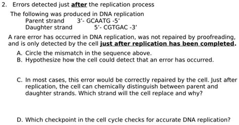 SOLVED Errors Detected Just After The Replication Process The Following Was Produced In DNA