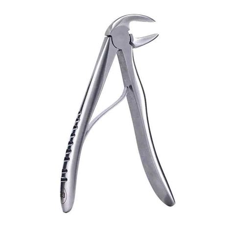 Dental Extraction Of Upper Premolar Teeth Extracting Forceps Surgical Dentist Upper Lower Roots
