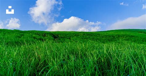 푸른 하늘과 낮 동안 흰 구름 아래 푸른 잔디 밭 사진 Unsplash의 무료 풀 이미지