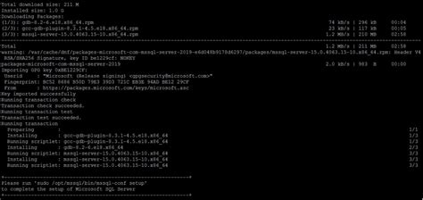 Install Sql Server 2019 On Red Hat Linux